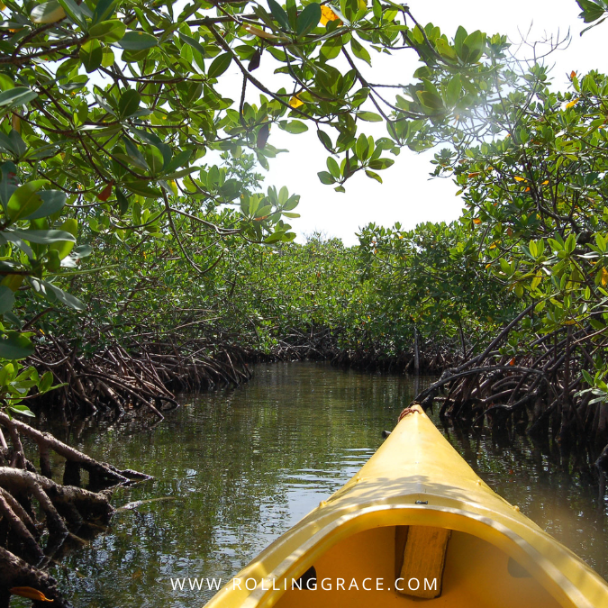 Where to Kayak in Malaysia: 10 Best Spots for Every Level